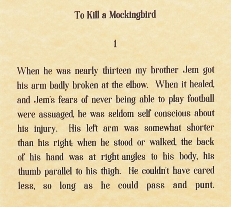 To Kill a Mockingbird Opening Paragraphs Print Famous | Etsy