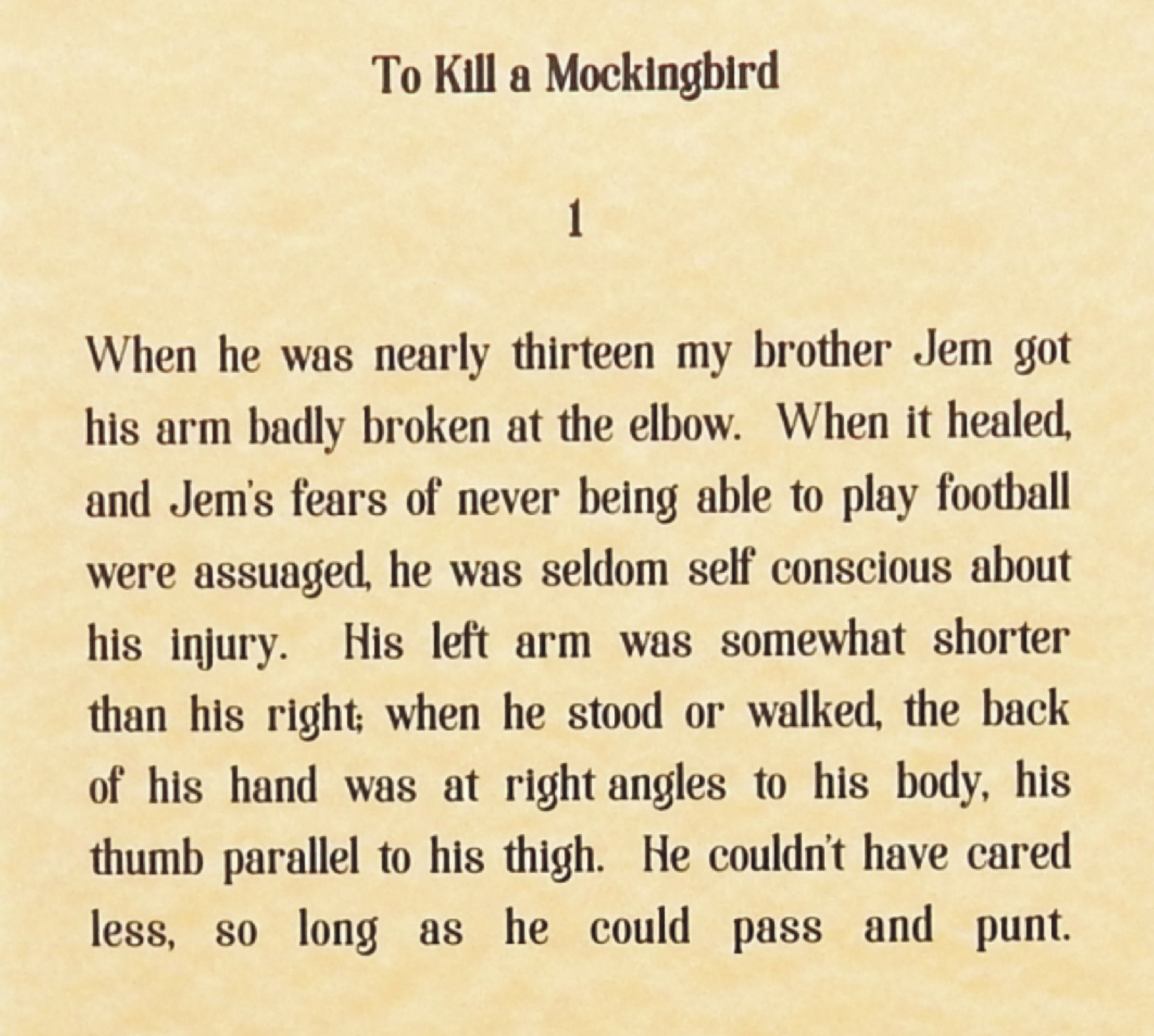 To Kill a Mockingbird Opening Paragraphs Print Famous | Etsy