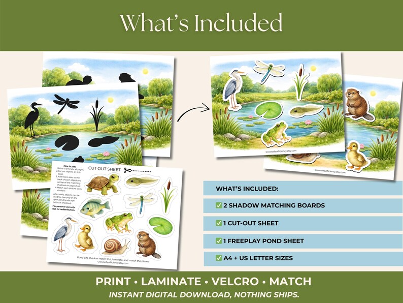 Pond Life Shadow Matching Activity, Preschool Fine Motor Skills ...