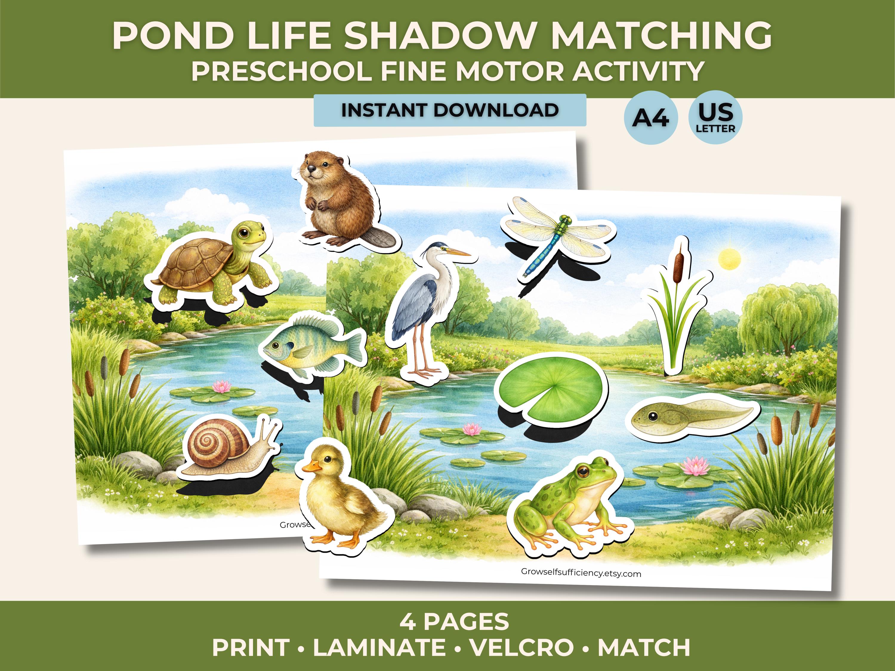 Pond Life Shadow Matching Activity, Preschool Fine Motor Skills ...