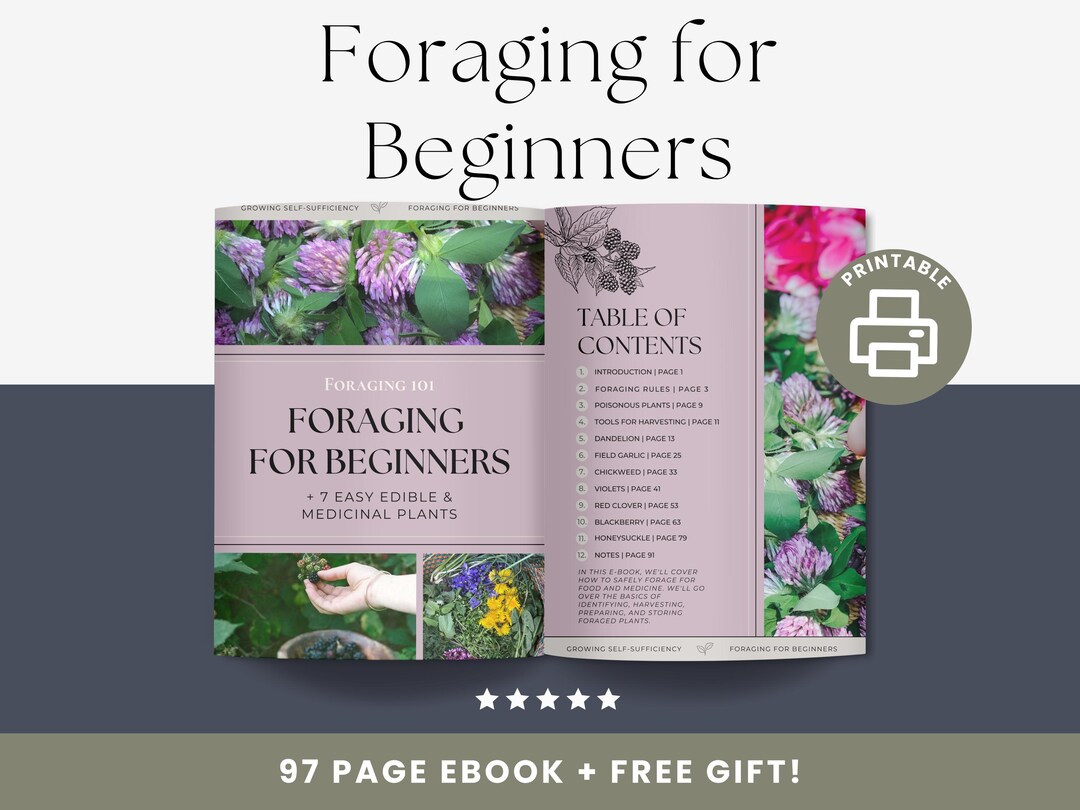 Foraging for Beginners Printable Ebook, Foraging Guide to Wild Edibles ...