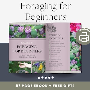 Foraging for Beginners Guide - Etsy