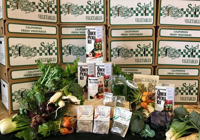 Quick Pickle Kit - Great Tasting Healthy Pickles in Just a Few Days! - Etsy