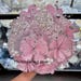 Ramo Baby Pink- Ramo Pop Pink- Ramo Rosa Pastel De Quinceañera Ramo En ...
