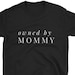 Owned by Mommy, Mdlg Shirt, Mdlb Shirt, Abdl Shirt, Bdsm Shirt ...