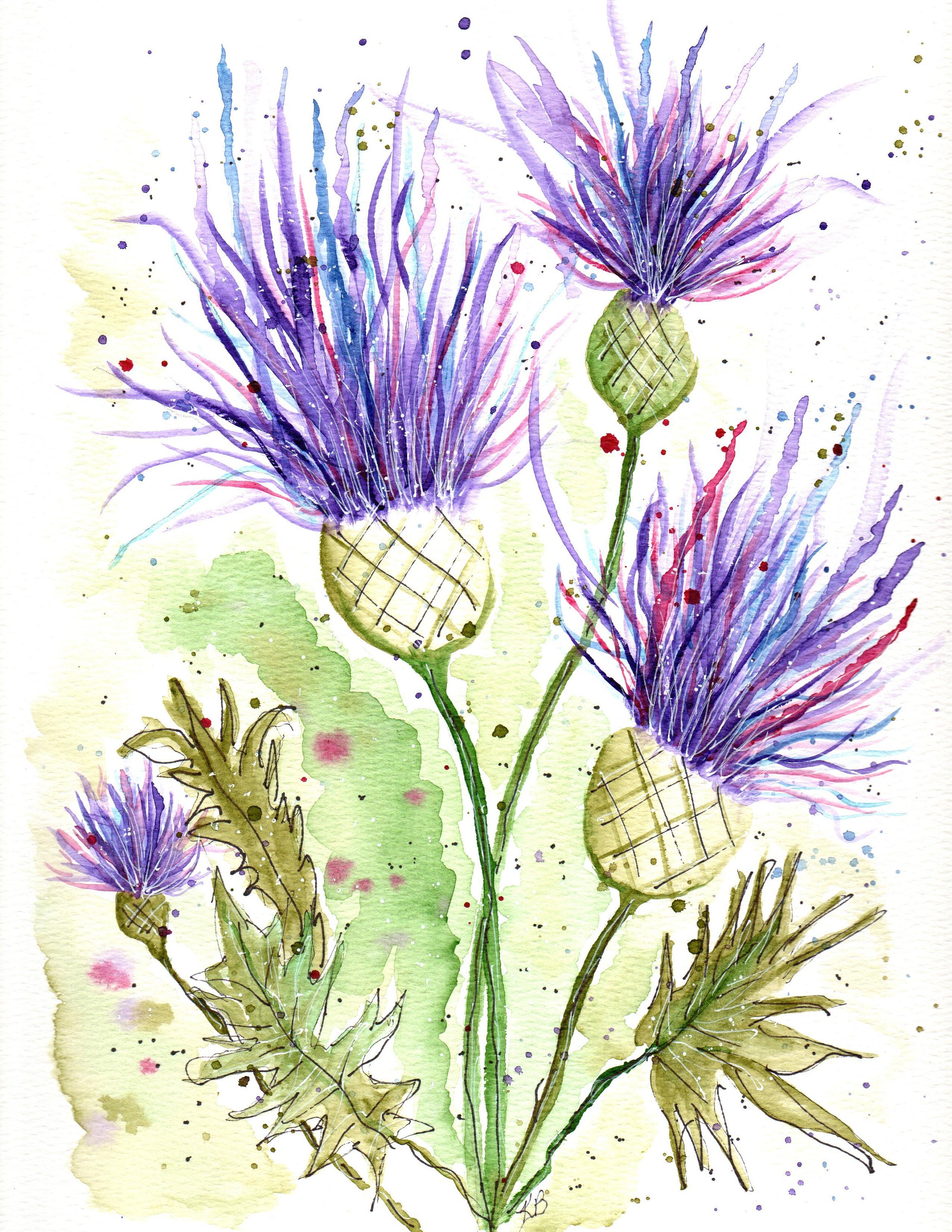 Original Abstract SCOTTISH THISTLE Watercolor Painting Wall Art - Etsy
