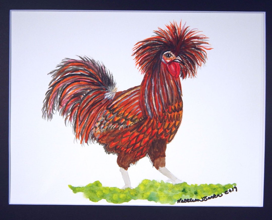 Watercolor Painting Polish Rooster Chicken Mounted/matted Modern Art ...