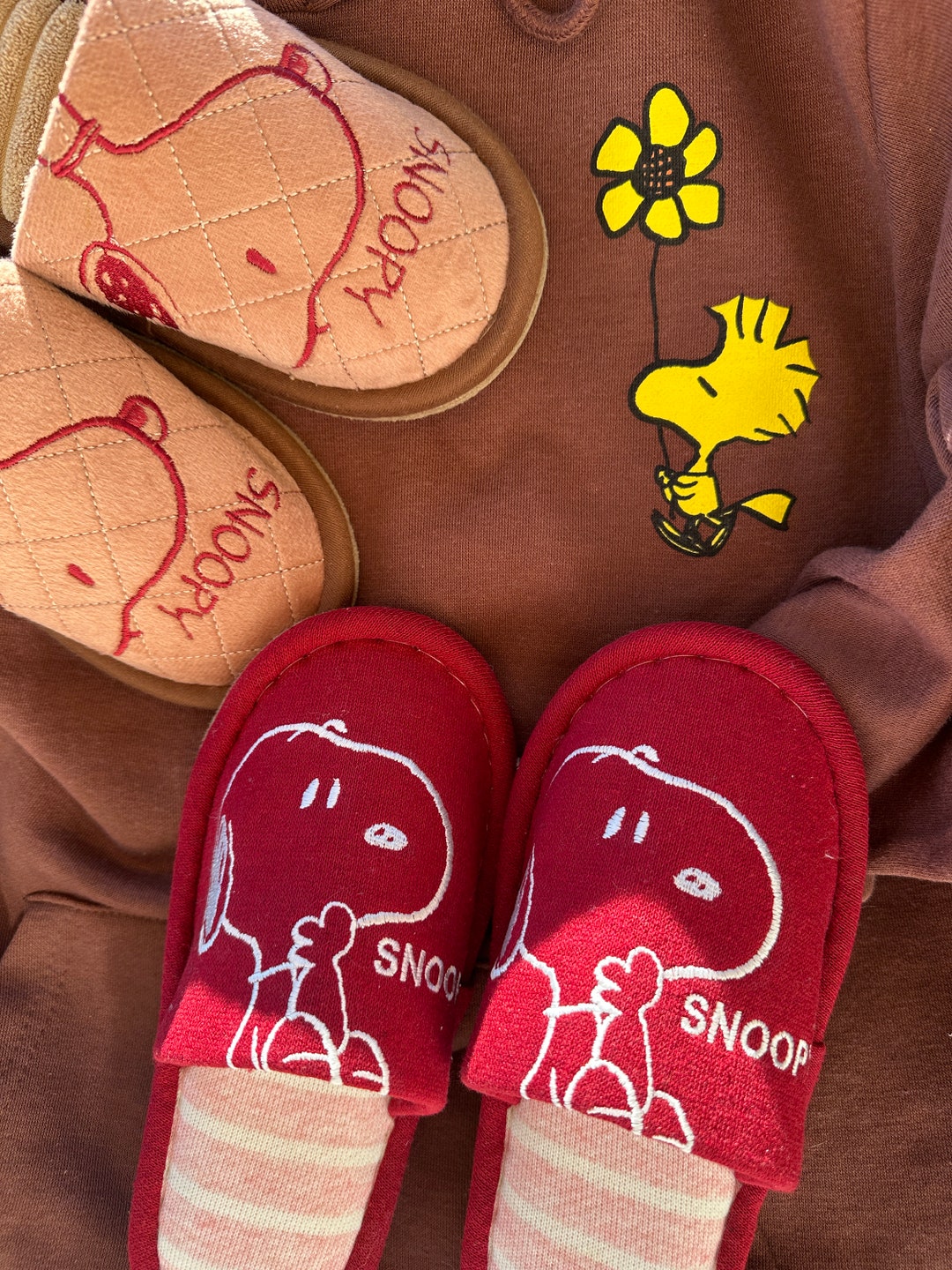 Valentine House Slippers Snoopy and His Friends-home Spa Lightweight ...