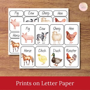 Farm Animal Flashcards, Animal Montessori 3 Part Cards, Preschool ...