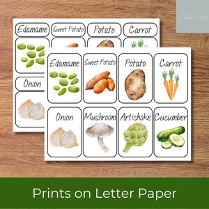 Vegetable Flashcards, Montessori 3 Part Cards, PDF Printable - Etsy