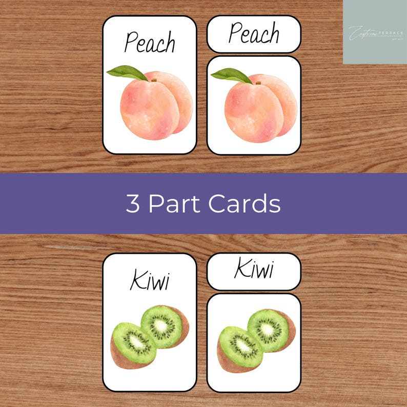 Fruit Flashcards, Food Montessori 3 Part Cards, Preschool Activity ...