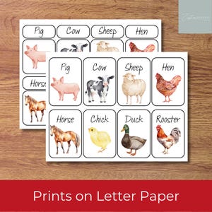 Farm Animal Flashcards, Animal Montessori 3 Part Cards, Preschool ...