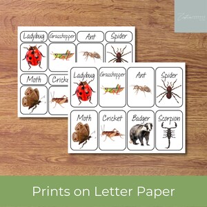 Animal Flashcards, Animal Montessori 3 Part Cards, Preschool Activity ...