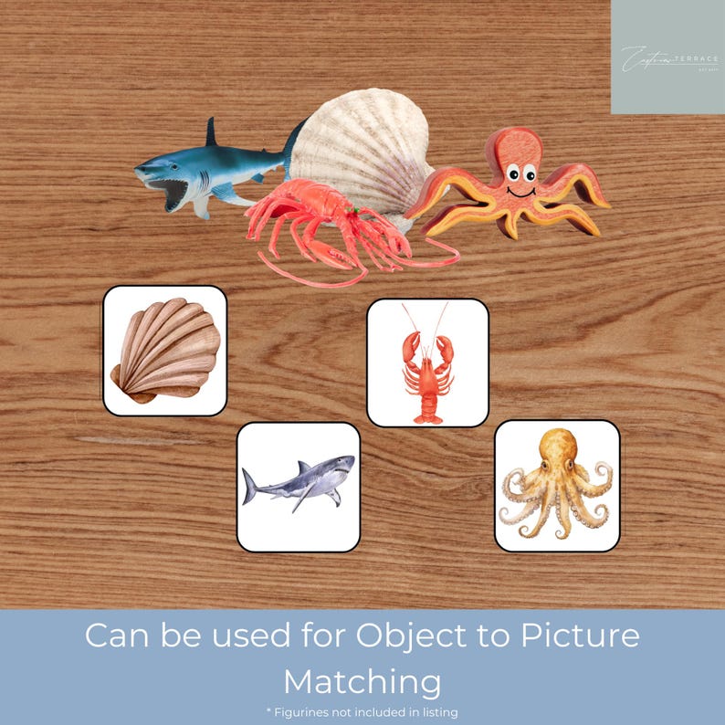 Ocean Animal Flashcards, Animals Montessori 3 Part Cards, Preschool ...