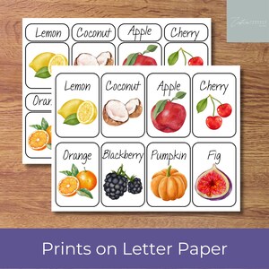 Fruit Flashcards, Food Montessori 3 Part Cards, Preschool Activity ...