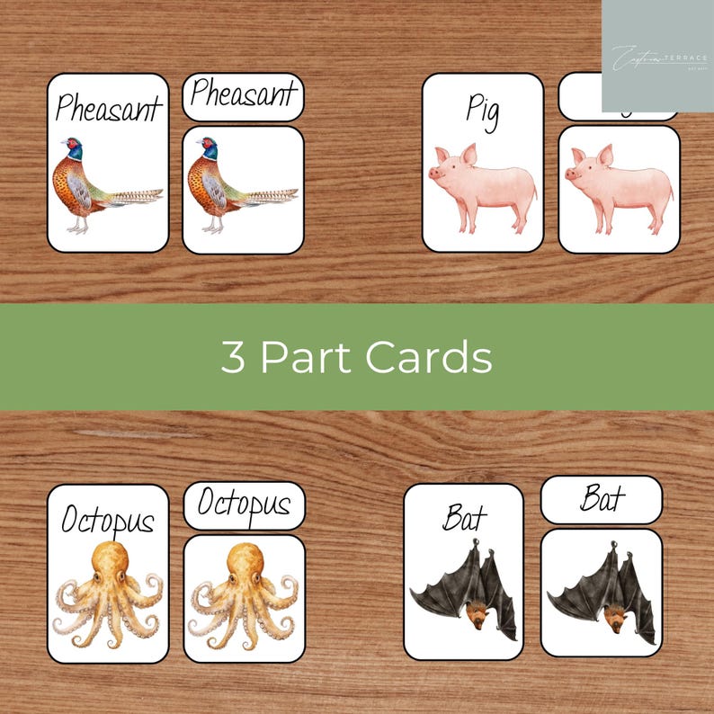 Animal Flashcards, Animal Montessori 3 Part Cards, Preschool Activity ...