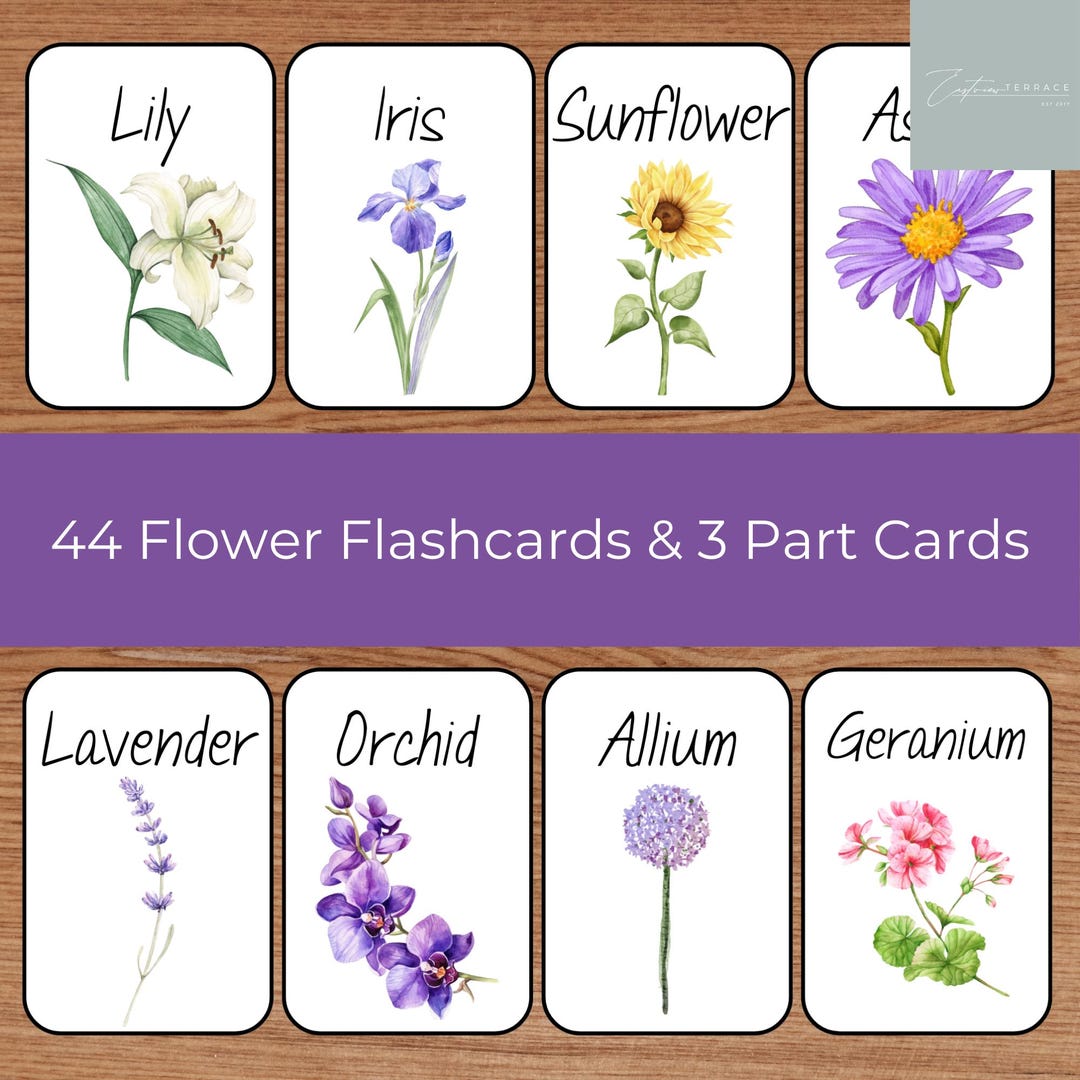 Flower Flashcards, Montessori 3 Part Cards, Educational Preschool ...