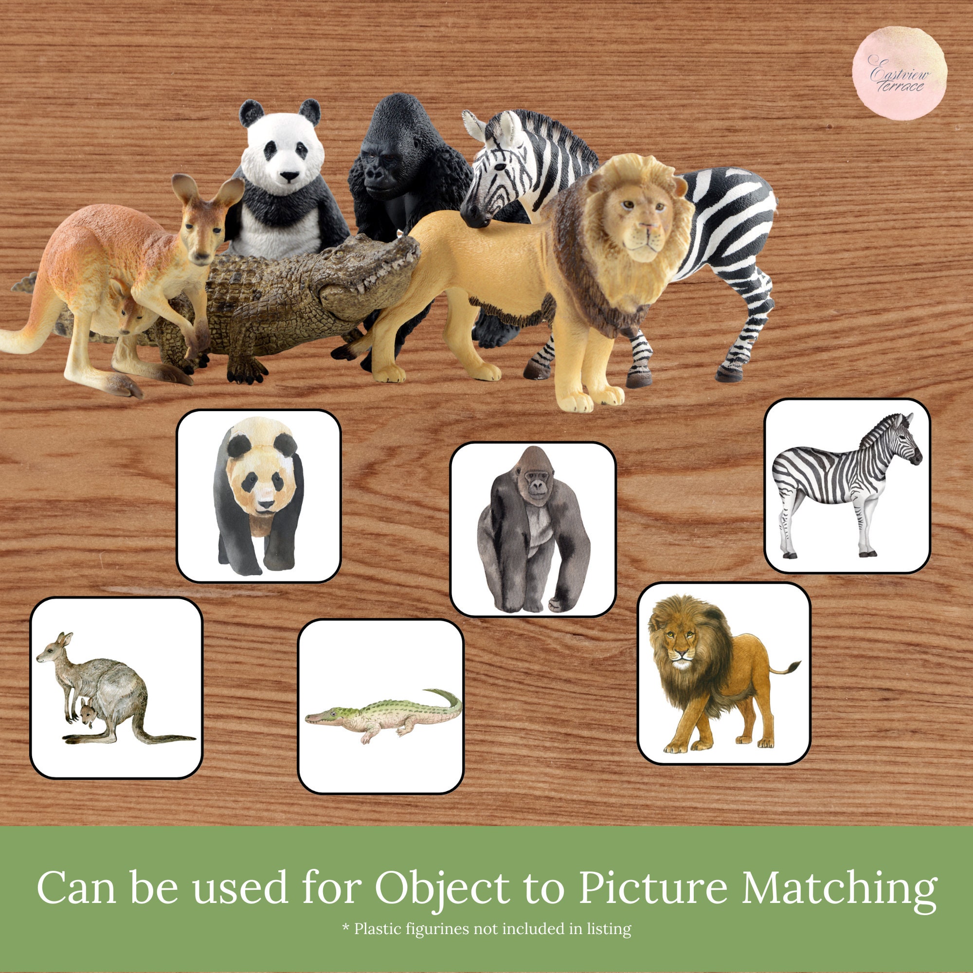 Animal Flashcards, Animal Montessori 3 Part Cards, Preschool Activity ...