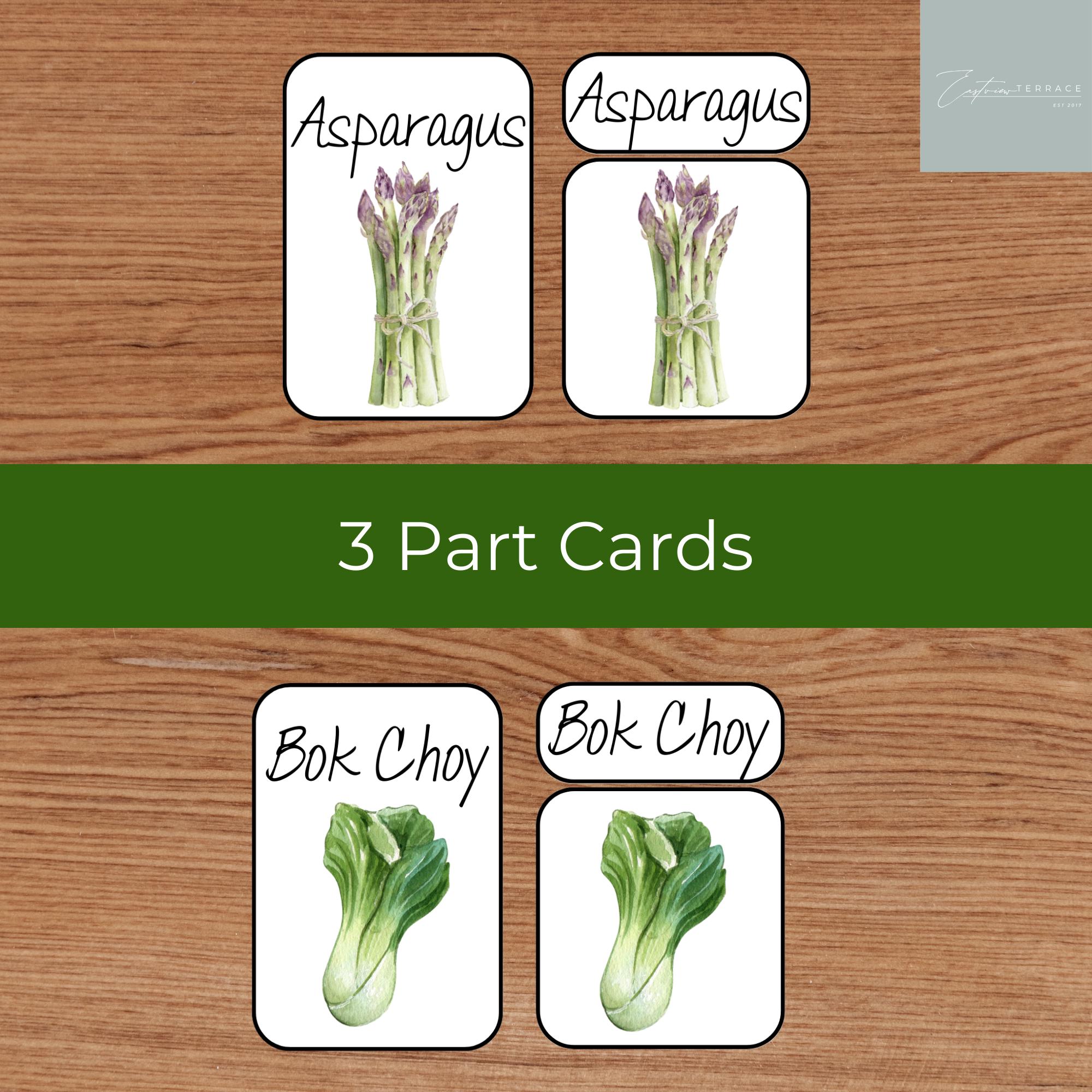 Vegetable Flashcards, Montessori 3 Part Cards, PDF Printable - Etsy