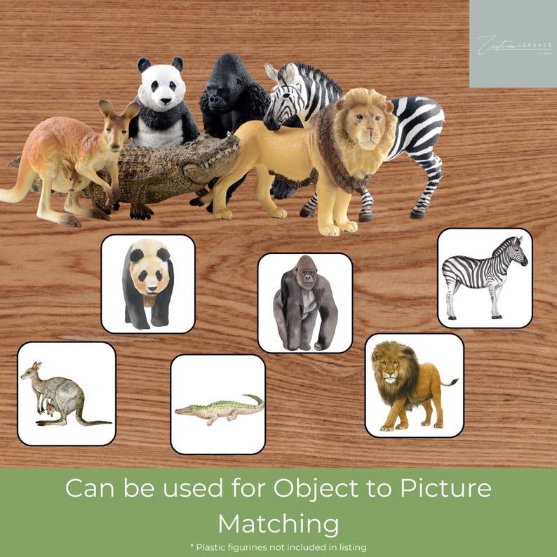Animal Flashcards, Animal Montessori 3 Part Cards, Preschool Activity ...
