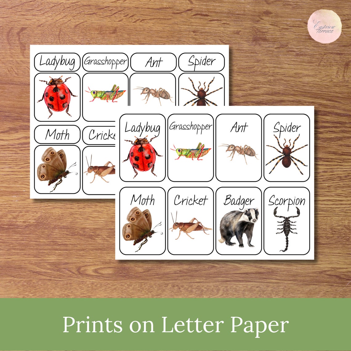 Animal Flashcards Animal Montessori 3 Part Cards Preschool - Etsy