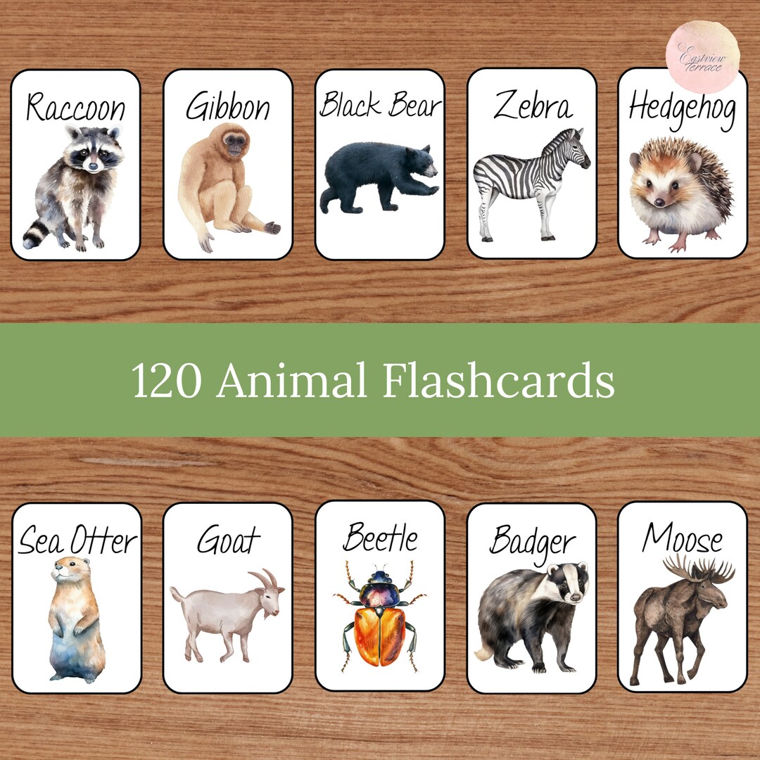 Animal Flashcards, Animal Montessori 3 Part Cards, Preschool Activity ...