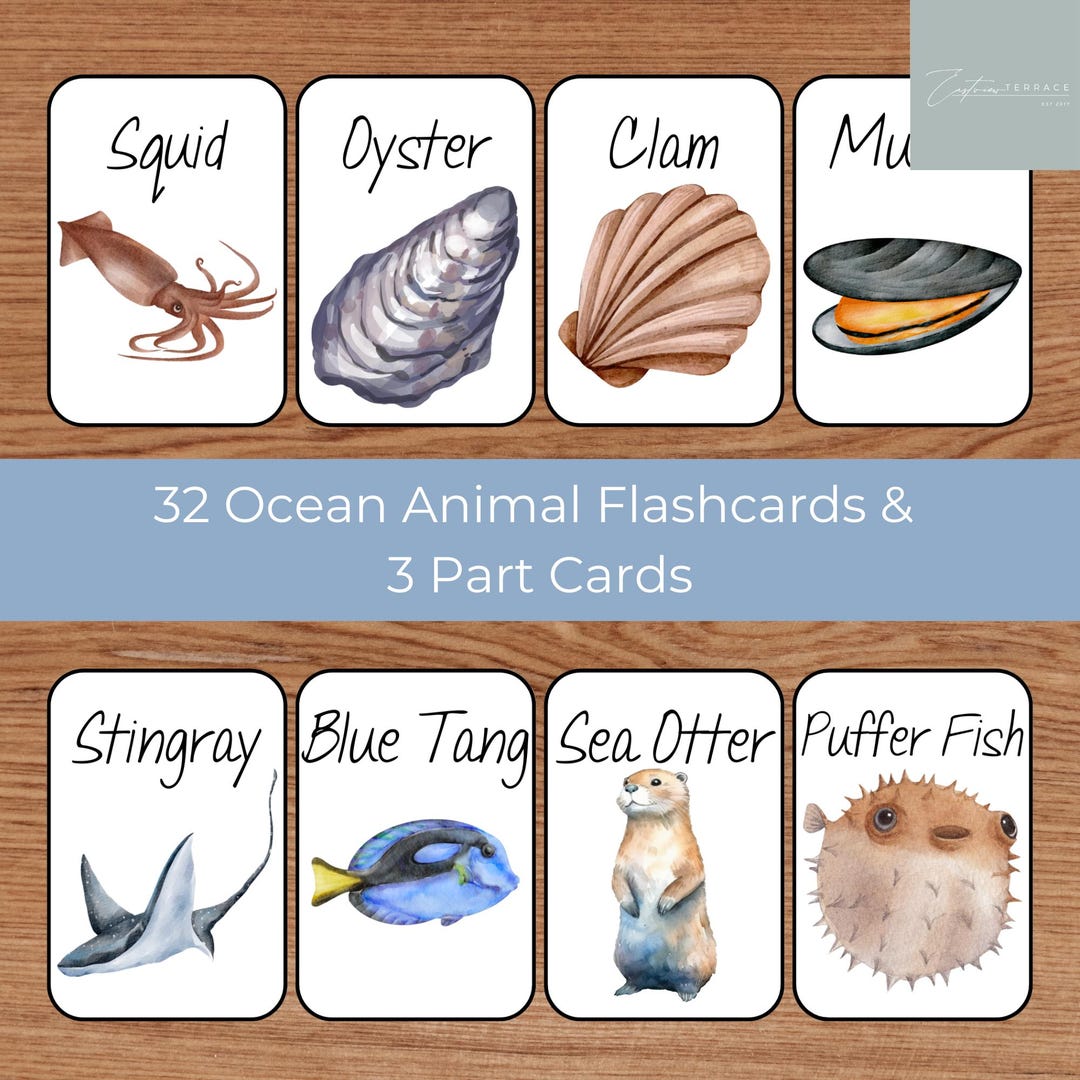 Ocean Animal Flashcards, Animals Montessori 3 Part Cards, Preschool ...