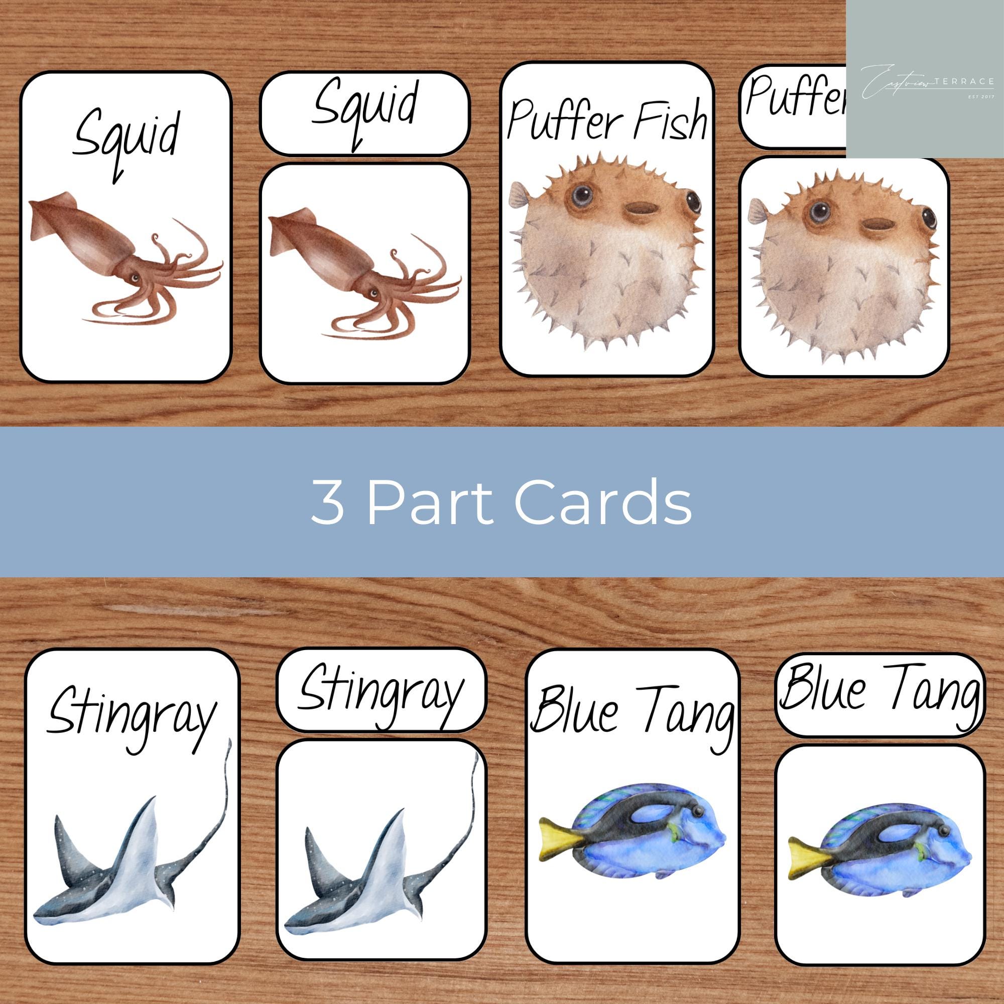 Ocean Animal Flashcards, Montessori 3 Part Cards, Educational Printable ...