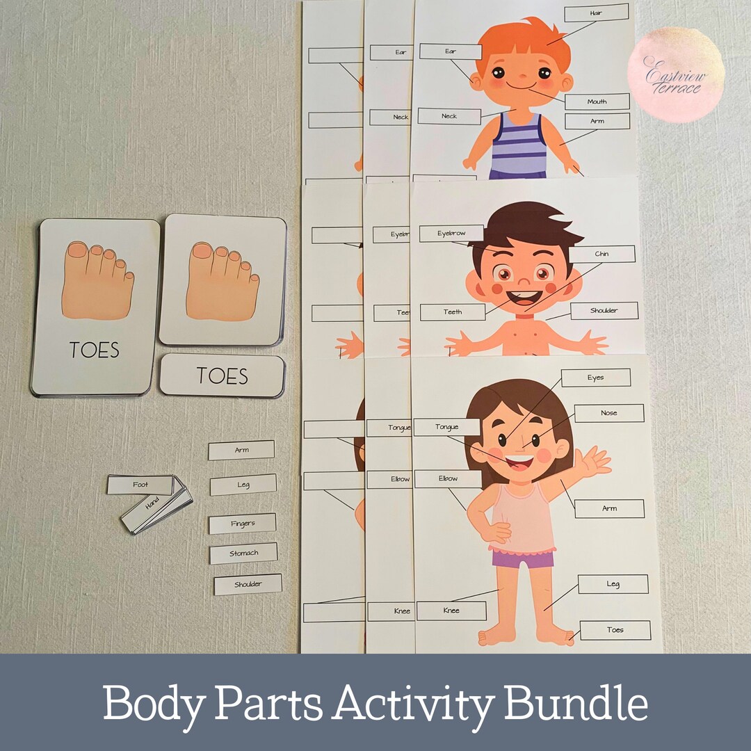 Montessori Body Parts Activity Bundle, School Human Body Activity ...