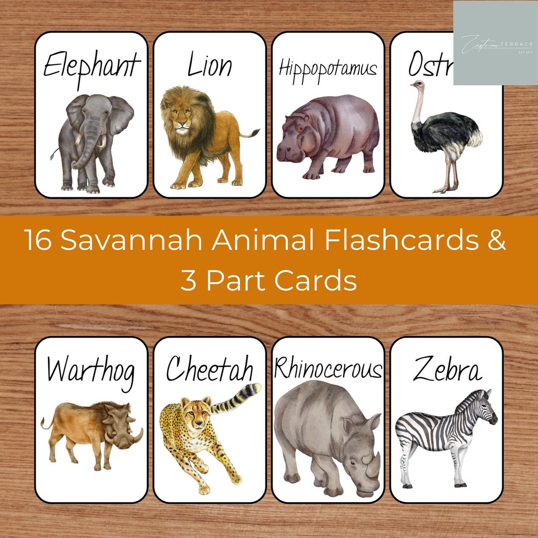 Savannah Animal Flashcards, Montessori 3 Part Cards, Printable - Etsy