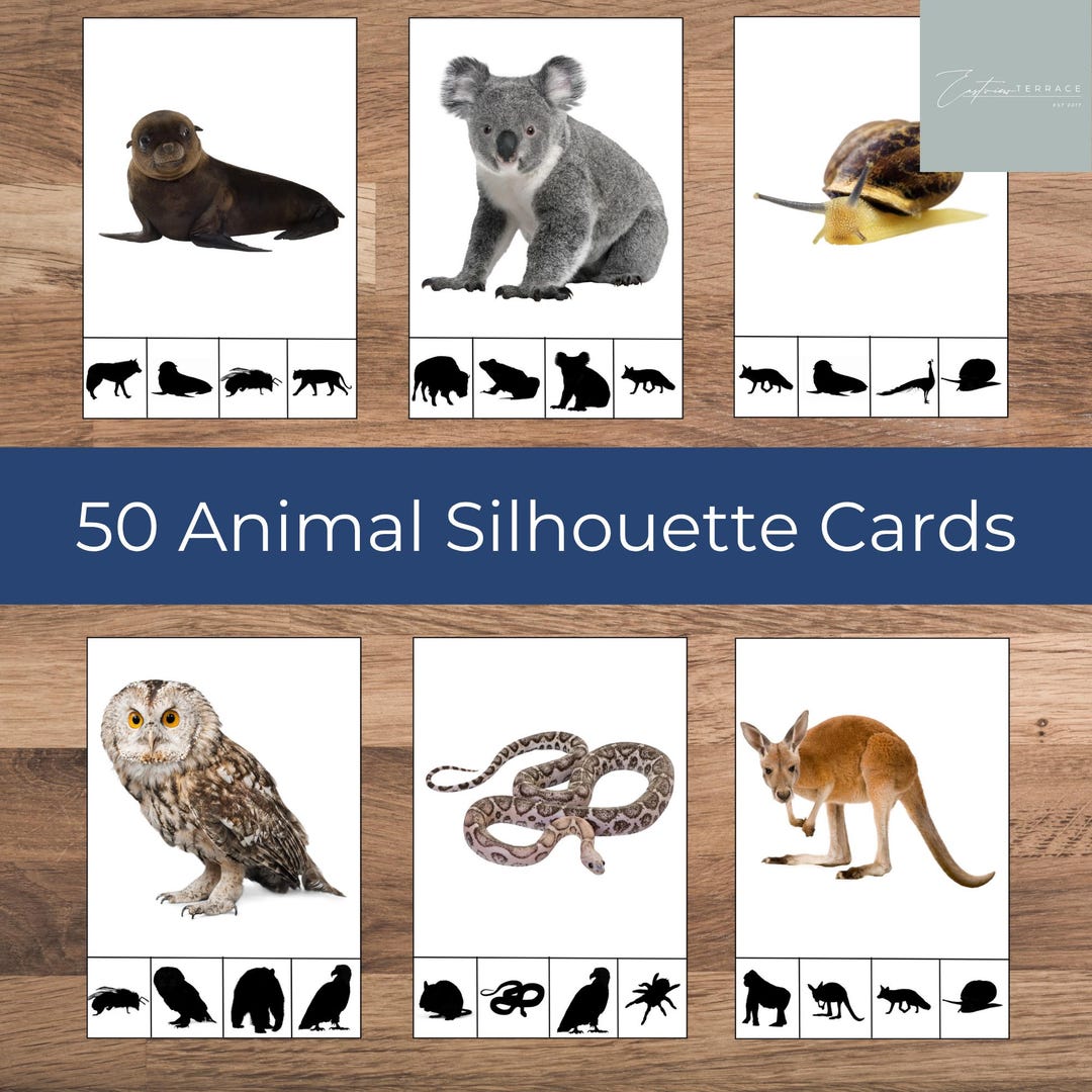 50 Animal Silhouette Matching Cards, Preschool Shadow Activity ...