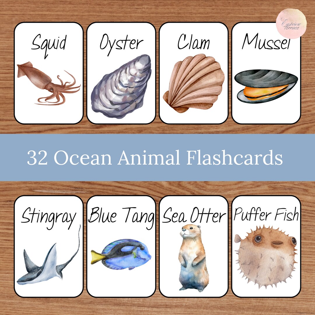 Ocean Animal Flashcards, Animals Montessori 3 Part Cards, Preschool ...