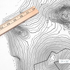 Hawai'i Volcanoes National Park, Hawaii Topographic Print, Contour Map ...