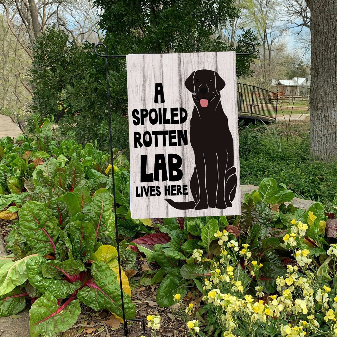 Spoiled Lab Lives Here Garden Flag Garden Decor Outdoor Flag - Etsy