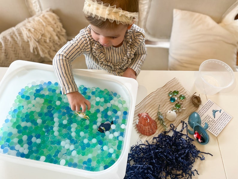 Jonah Sensory Bin Bible Sensory Jonah and the Whale Flisat - Etsy