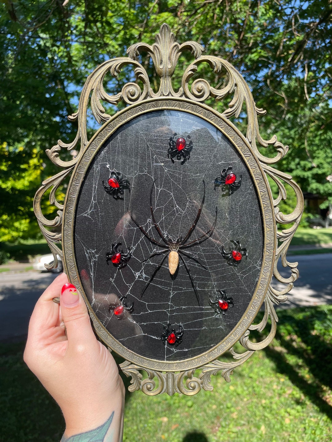 Framed Spider, Orb Weaving Spider, Vintage Frame, Framed Framed Insects ...