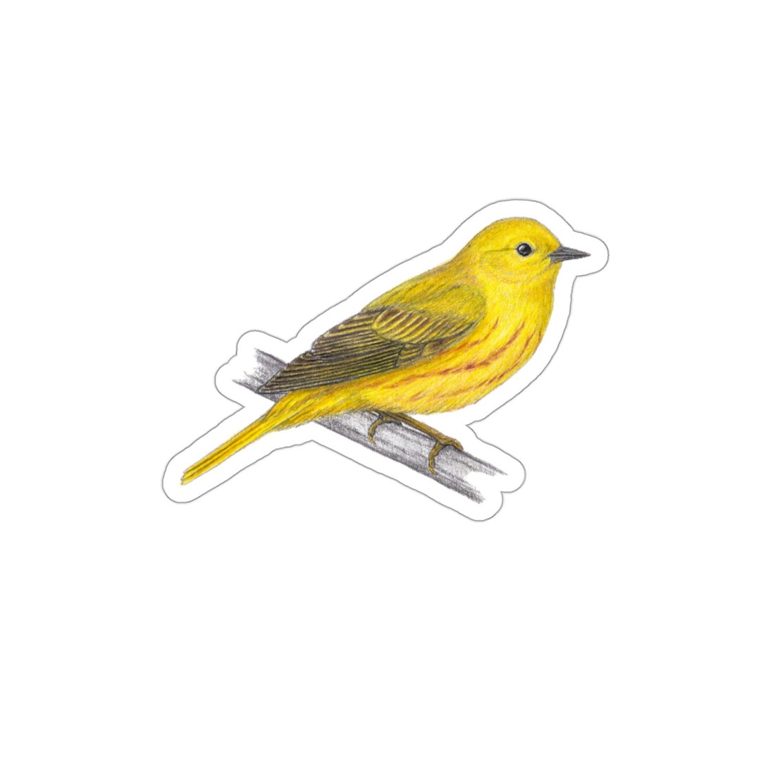 Yellow Warbler Sticker Decal, Water-resistant, Bird Lover Gift, Birding ...