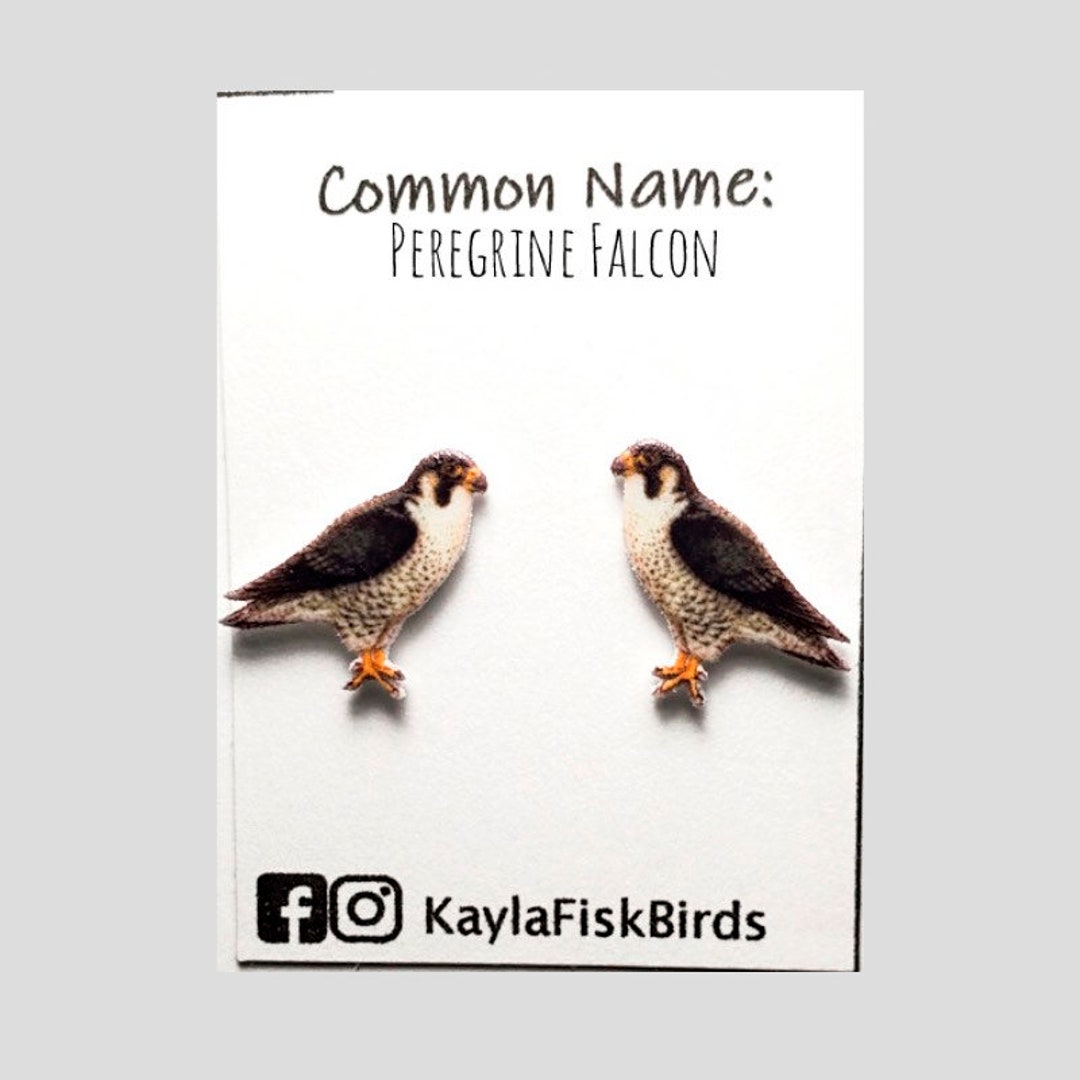 Peregrine Falcon Earrings, Falcon Jewelry, Falconry, Bird of Prey ...