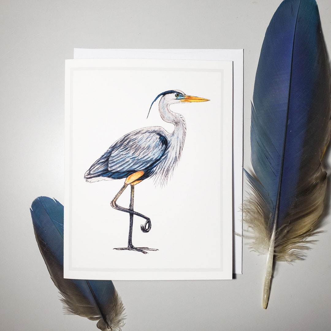 Great Blue Heron Greeting Card, Birds, Birding ,birder, Birdwatching ...