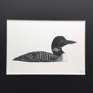 Loon Art, Loon Drawing, Bird Art, Bird Drawing, Print , Original ...