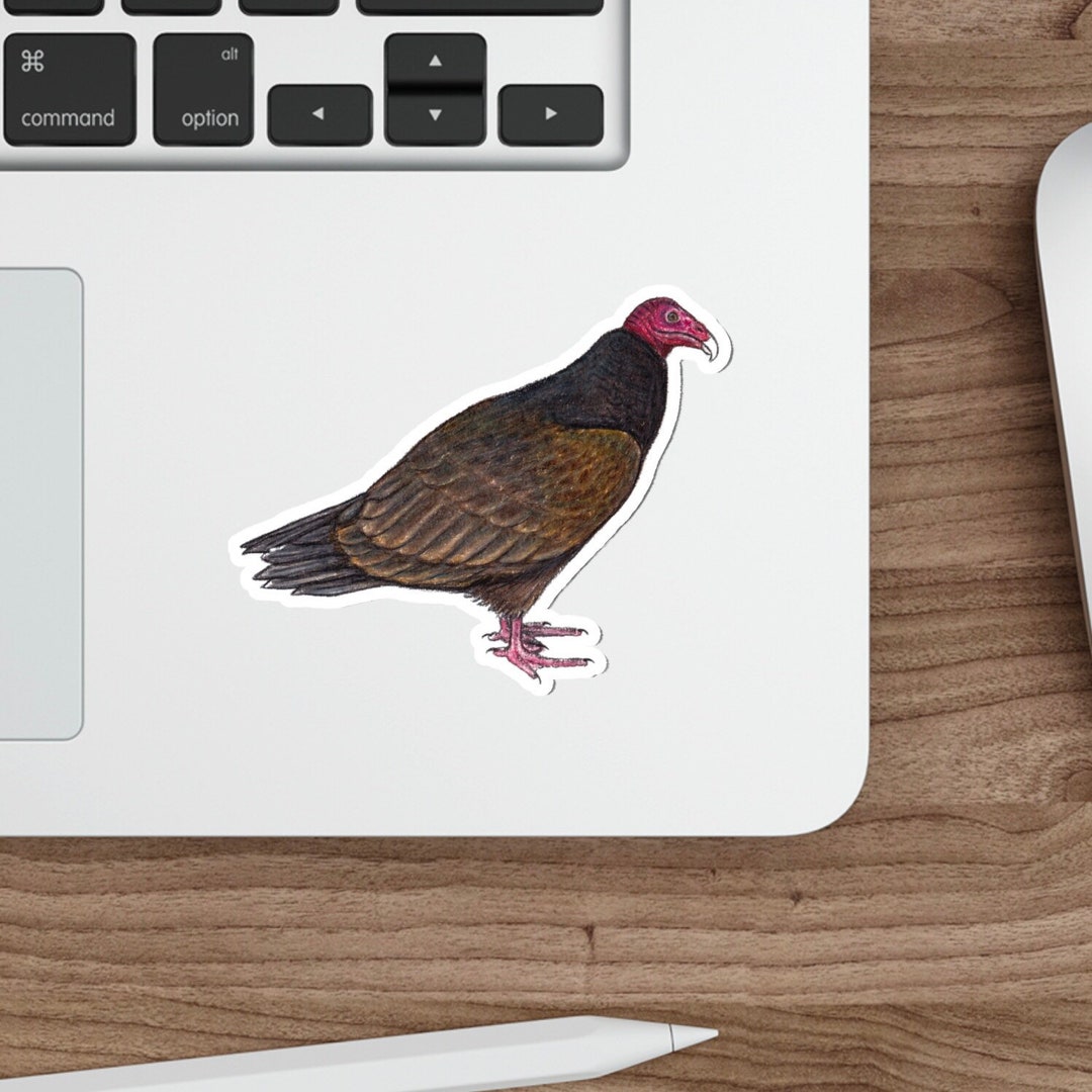 Turkey Vulture Sticker Decal, Water-resistant, Bird Lover Gift, Birding ...