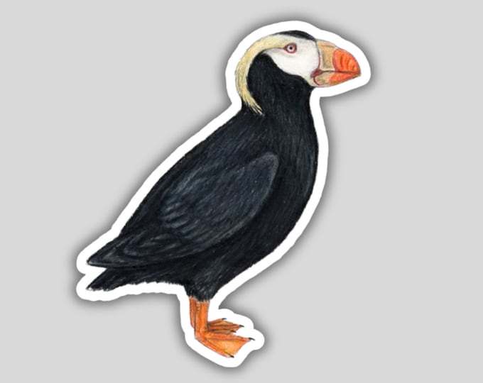 Puffins, Original Limited Edition Linocut Artwork. - Etsy