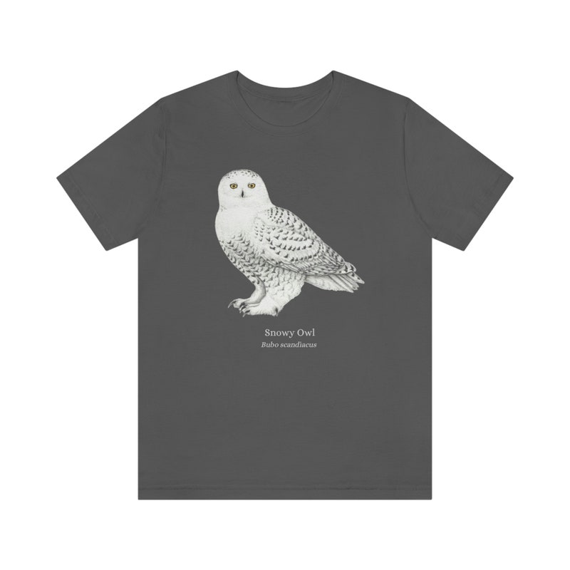 Owl Clothing - Etsy