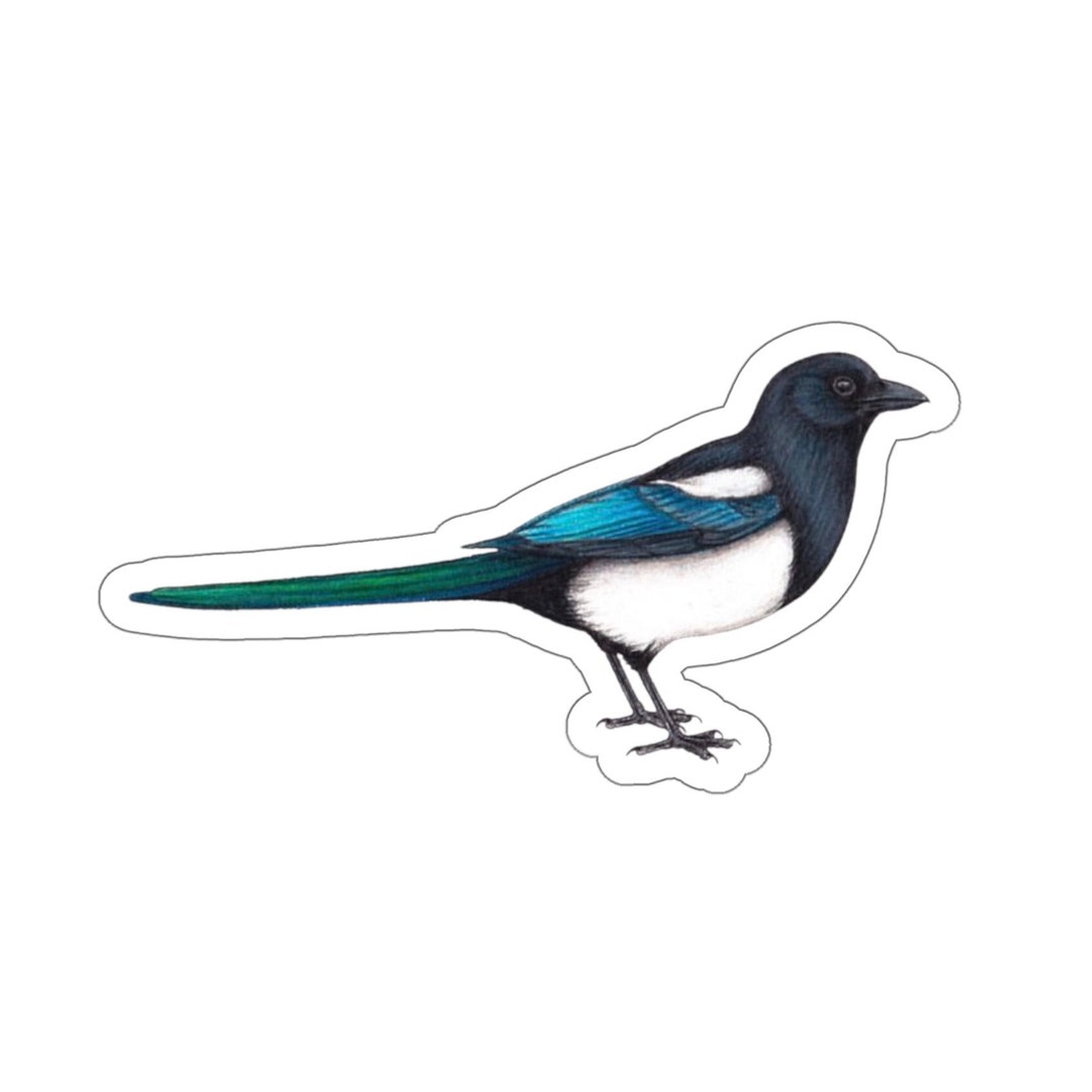 Black-billed Magpie Sticker Decal, Water-resistant, Bird Lover Gift ...