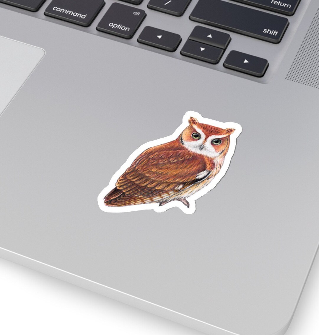 Eastern Screech Owl Sticker Decal, Water-resistant, Bird Lover Gift ...