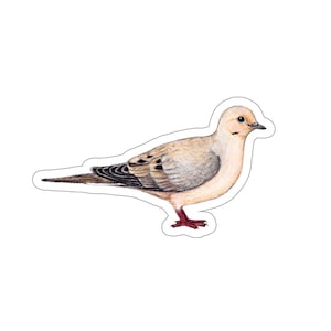 Mourning Dove Sticker Decal, Weather-resistant, Bird Lover Gift ...