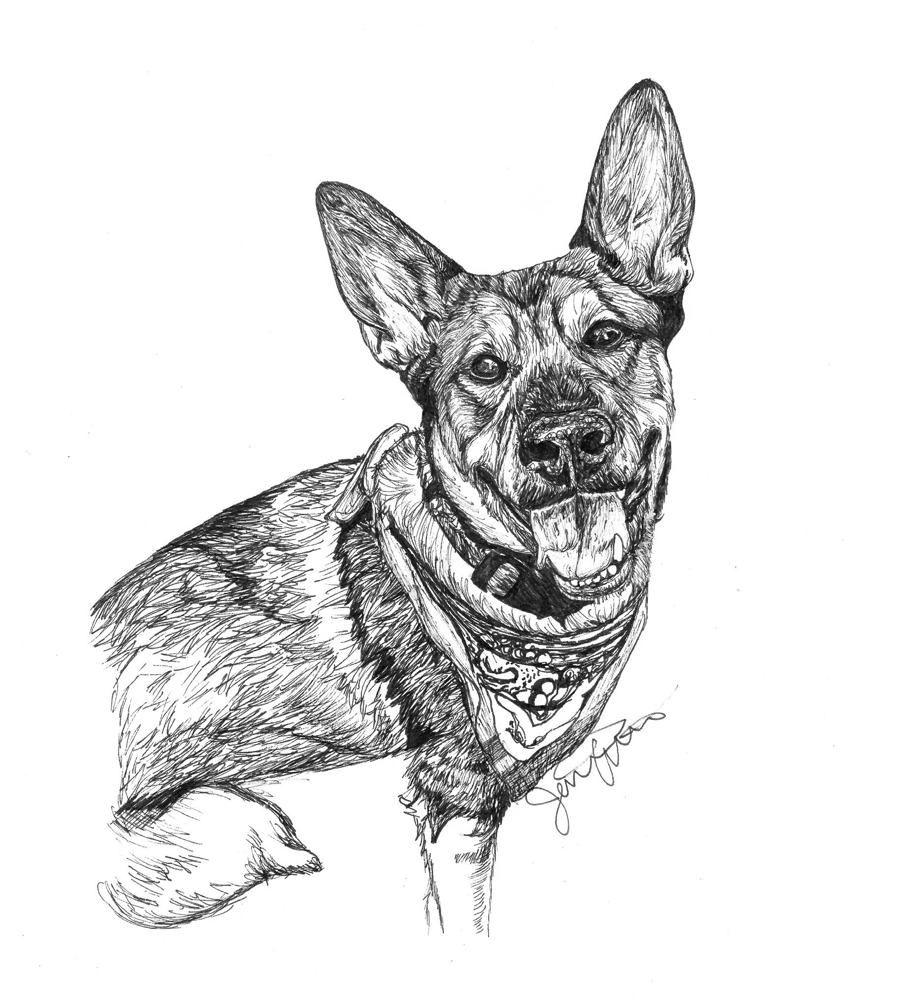 Customized Pen and Ink Pet Drawing - Etsy
