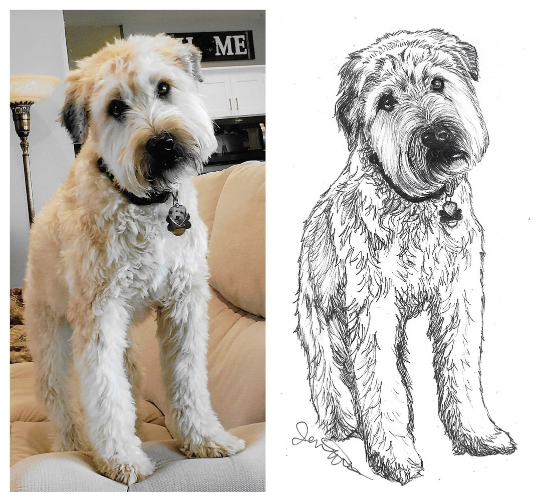 Customized Pen and Ink Pet Drawing - Etsy