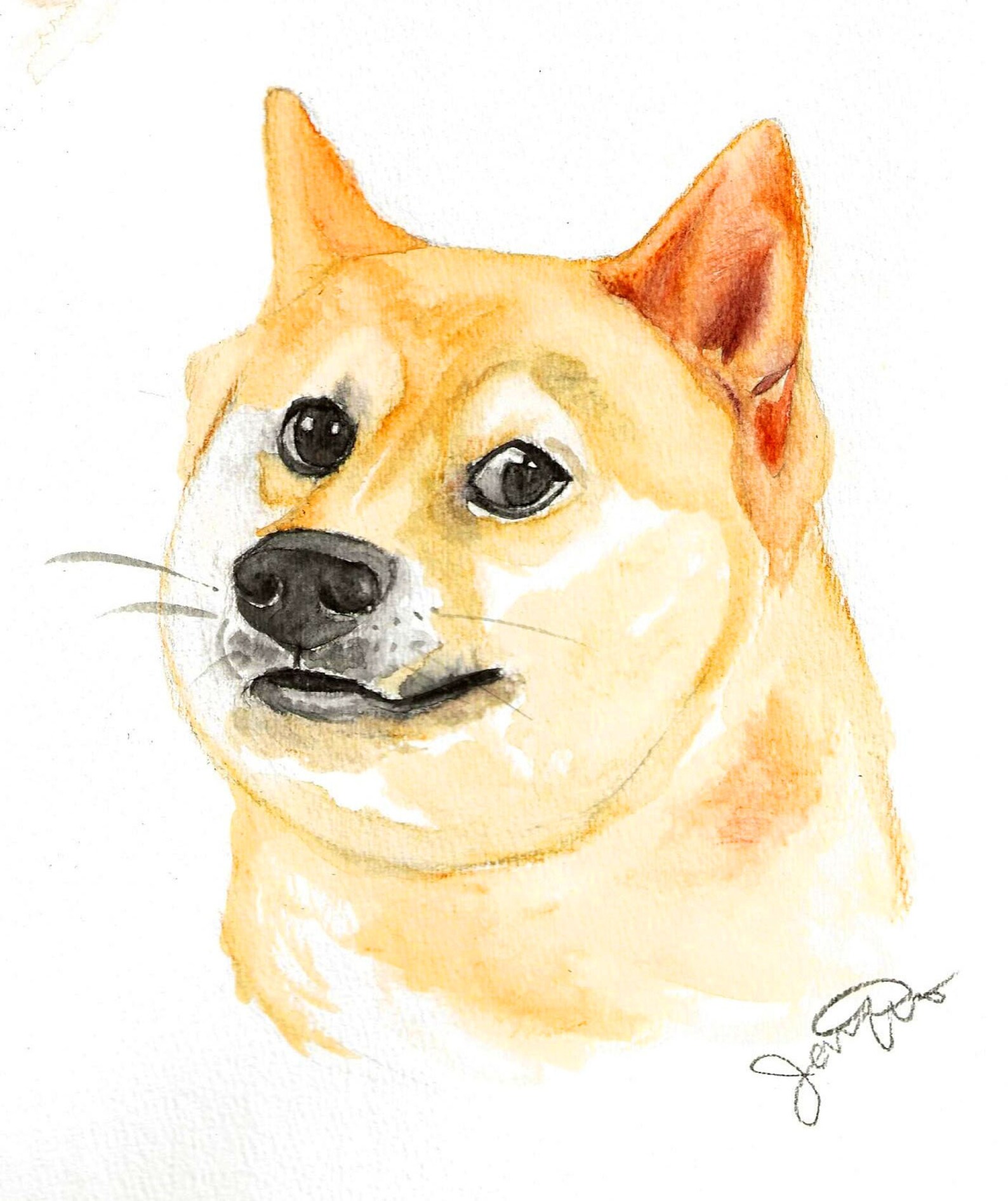 Doge Watercolor Sticker - Etsy