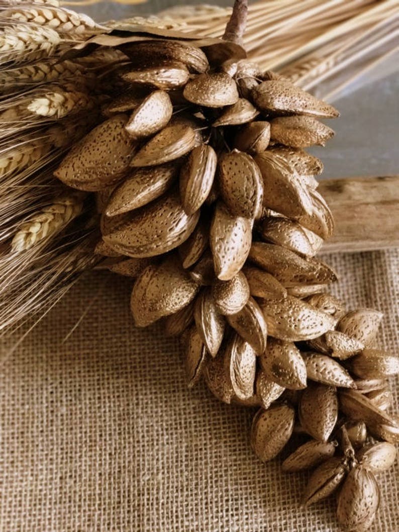 Hazelnut Cluster for Sofreh Aghd Persian Wedding Aroosi - Etsy